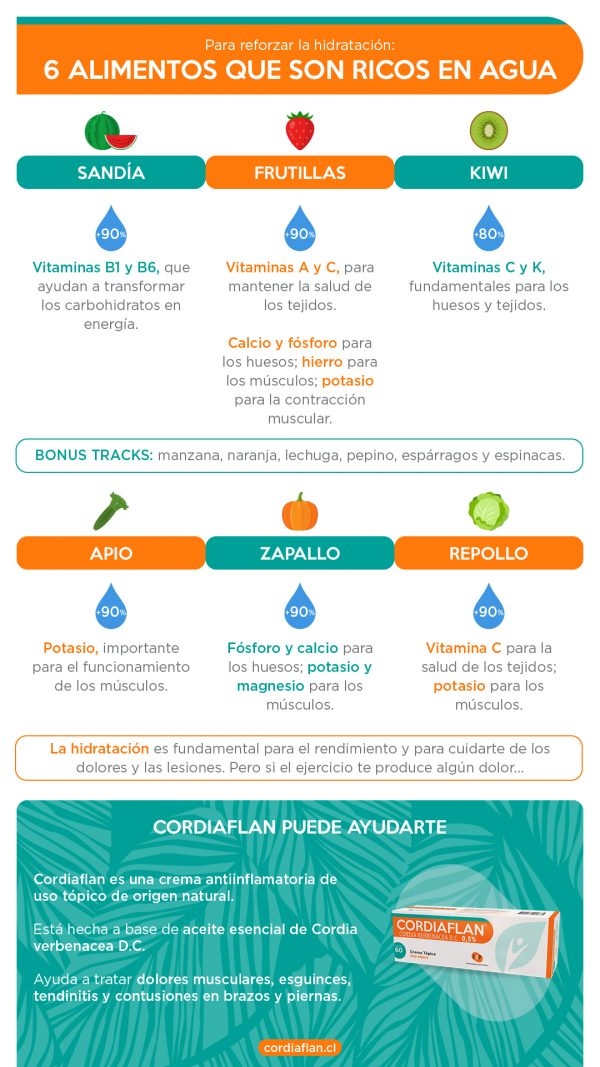 ¿Qué alimentos son ricos en agua? 6 que refuerzan la hidratación.